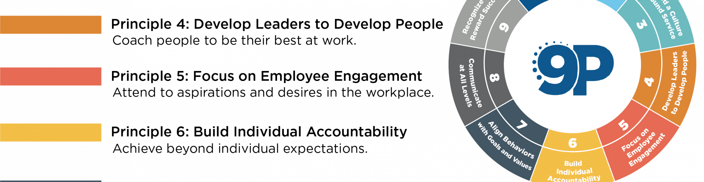 the-nine-principles-text-block - Studer Education